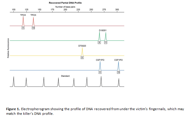 Solved THE INNOCENCE PROJECT Note: In this case, DNA | Chegg.com