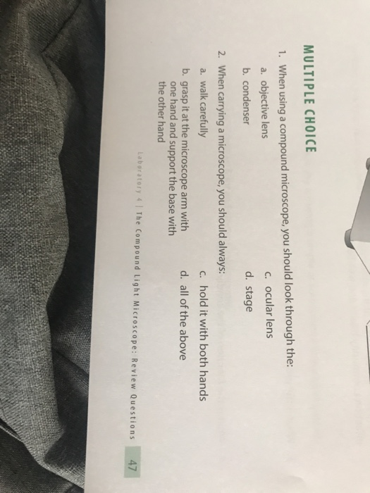 Solved MULTIPLE CHOICE When using a compound microscope, you | Chegg.com