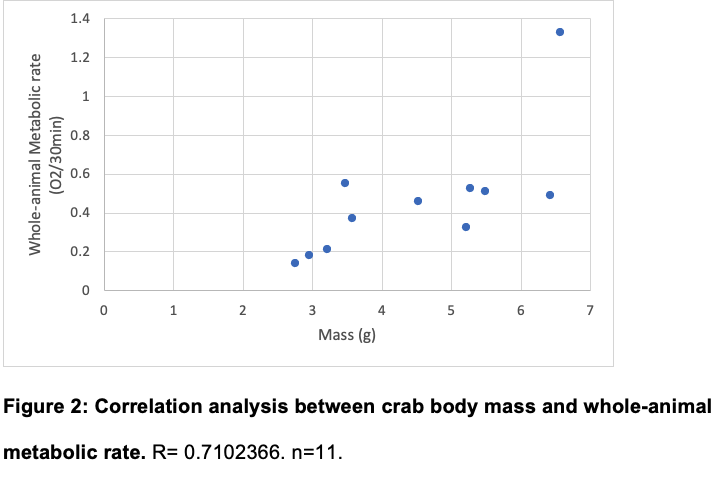 Solved 3. Whole-animal Metabolic Rate a. Describe your | Chegg.com
