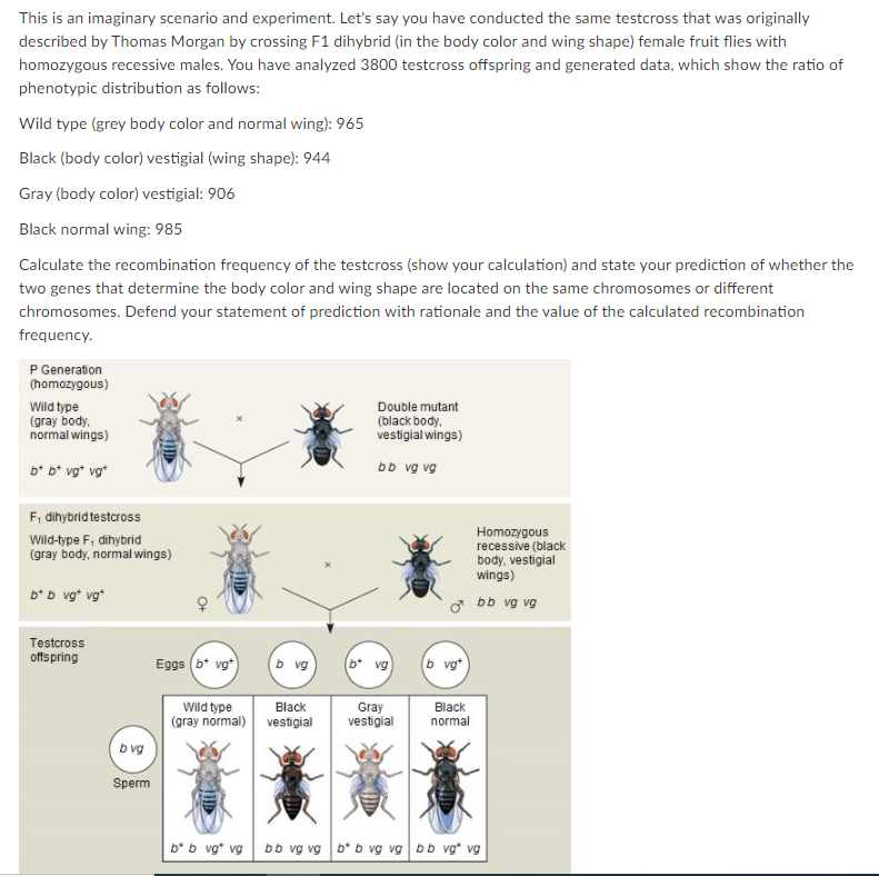 Solved This is an imaginary scenario and experiment. Let's | Chegg.com