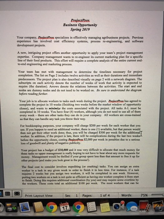 Projecteros Business Opportunity Spring 2019 Your | Chegg.com