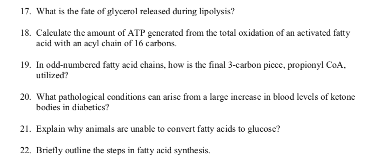 Solved 17. What is the fate of glycerol released during | Chegg.com
