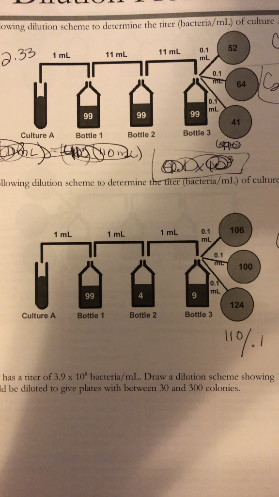 Solved Use the following dilution scheme to determine the | Chegg.com