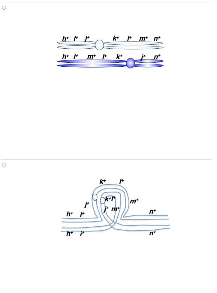 Solved I only need the answer to the second question- the | Chegg.com