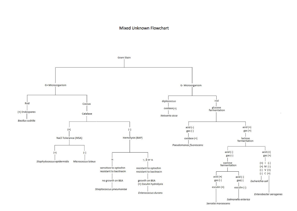 Solved Mixed Unknown Identification Form Unknown 'Patient | Chegg.com