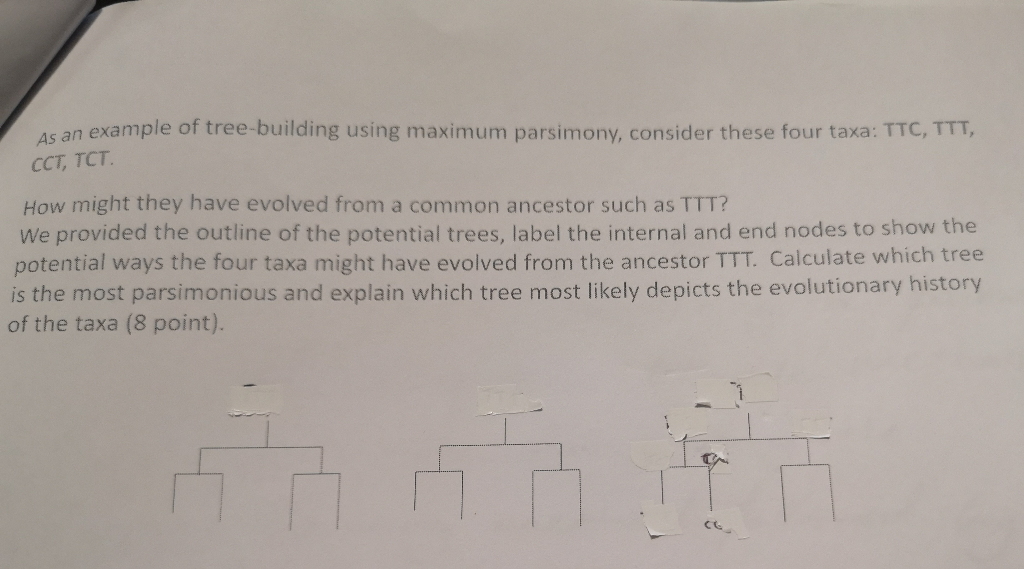 Solved As an example of tree-building using maximum | Chegg.com