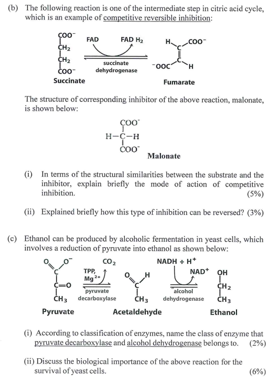 Solved 28. Alcohol dehydrogenase (ADH), a liver enzyme | Chegg.com