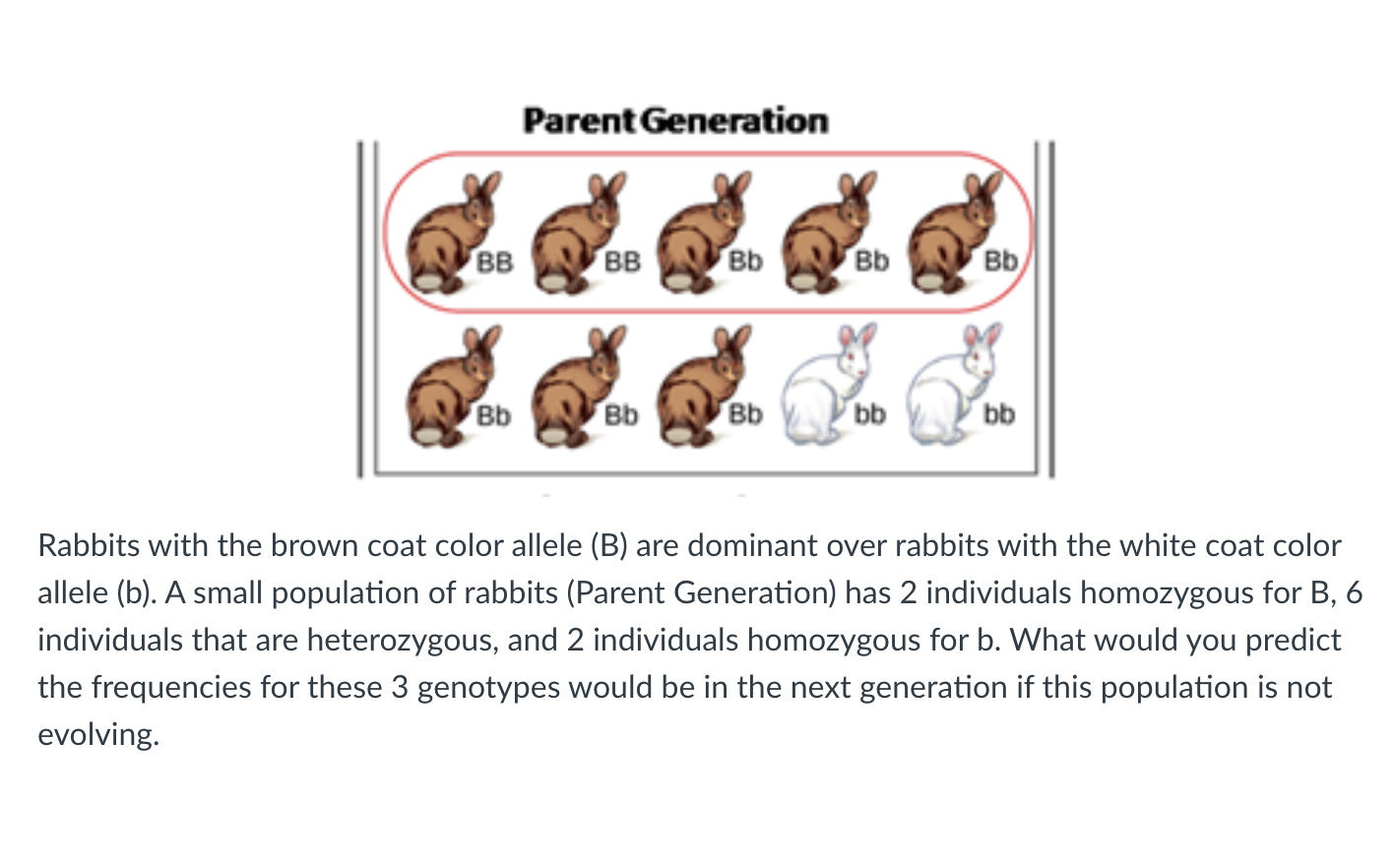 Solved Rabbits with the brown coat color allele (B) are | Chegg.com