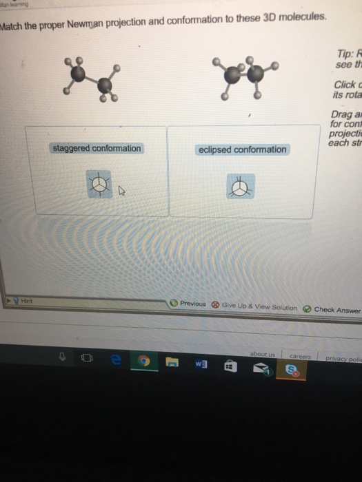 Solved Match the proper Newman projection and conformation | Chegg.com