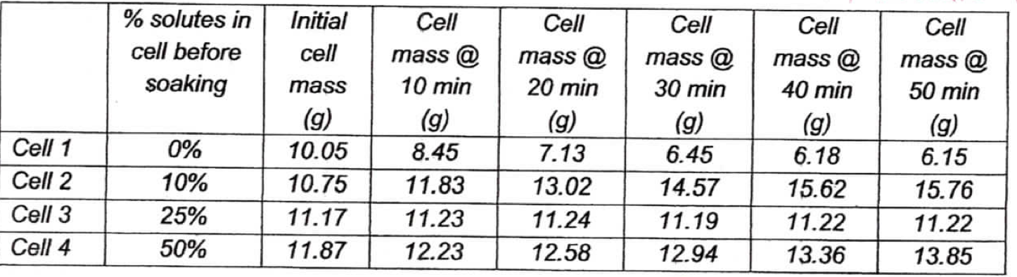 Solved Refer to table above- Each of the cells started with | Chegg.com