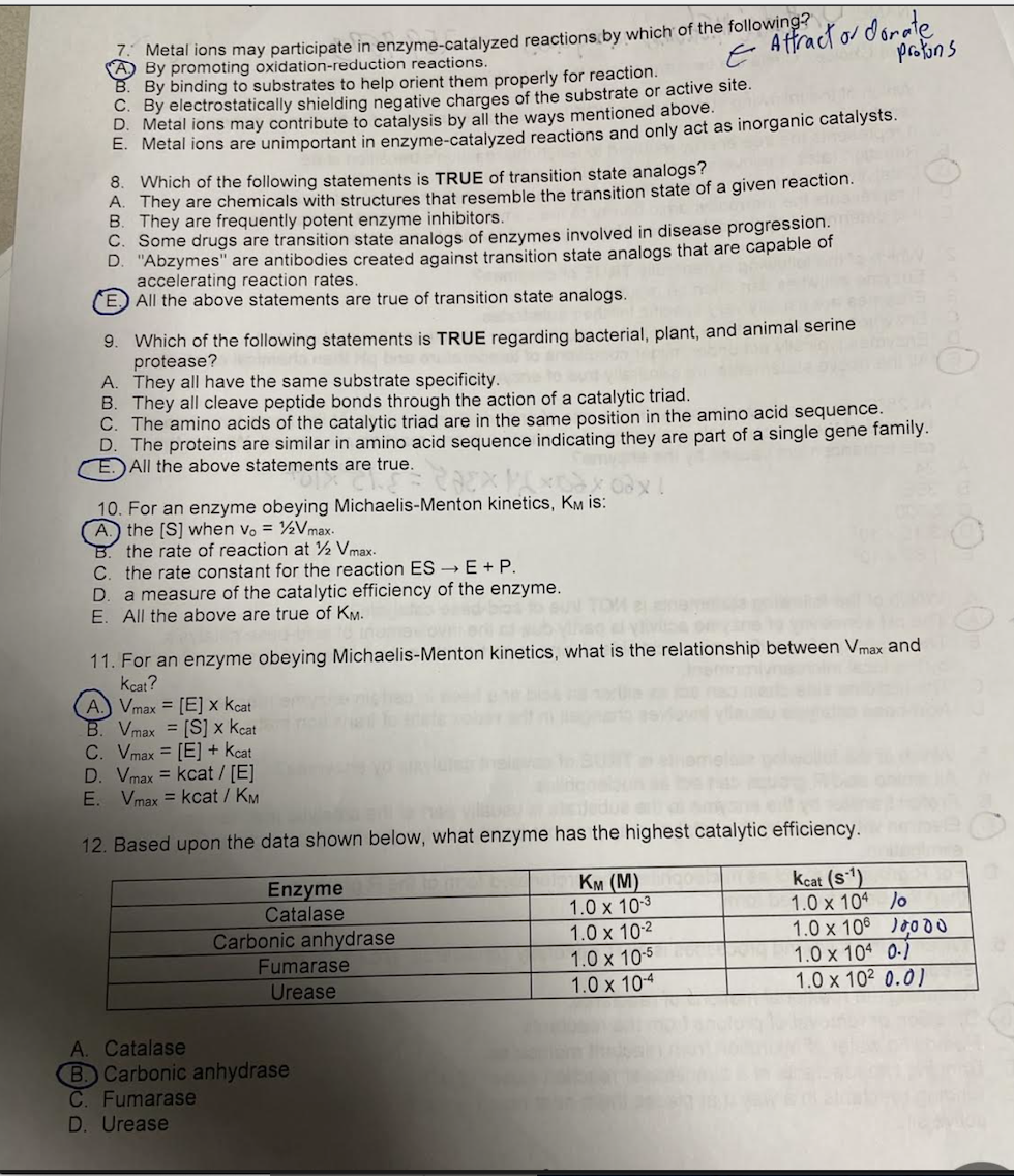 Solved 7. Metal ions may participate in enzyme-catalyzed | Chegg.com