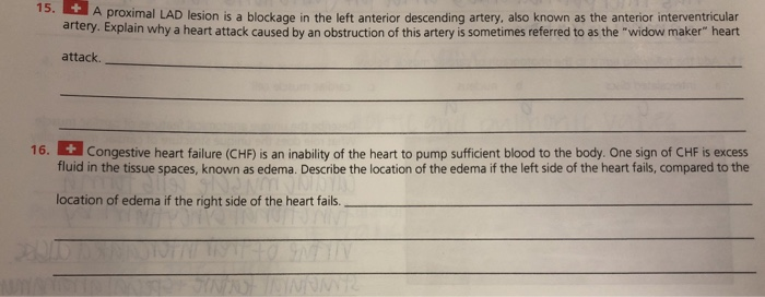 Solved A proximal LAD lesion is a blockage in the left | Chegg.com