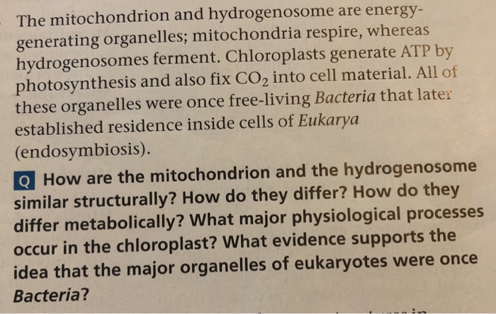 Solved The mitochondrion and hydrogenosome are energy | Chegg.com