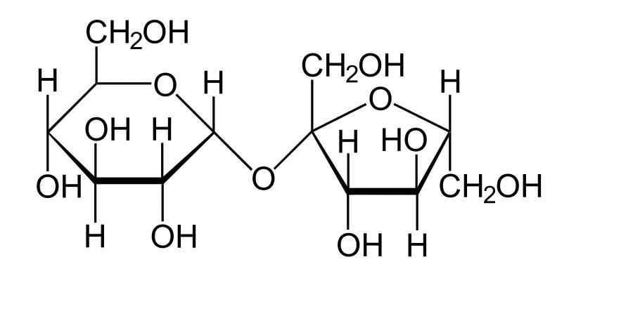 Solved Place a box around the functional group(carbohydrate) | Chegg.com