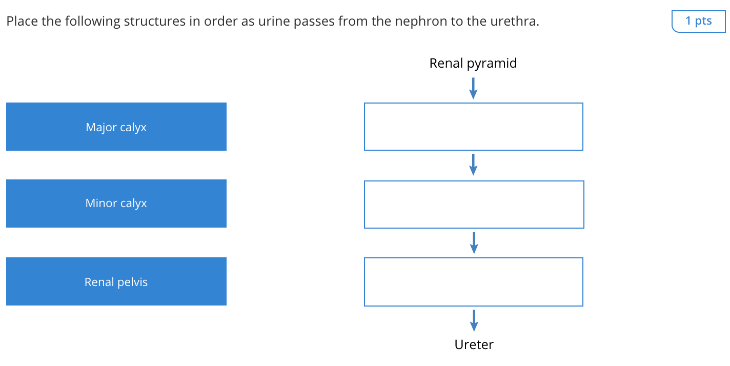 Solved Which structure is highlighted (yellow) in Figure 1? | Chegg.com