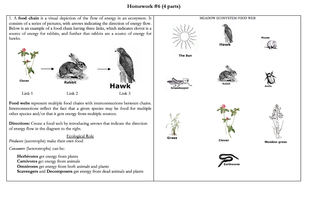 Solved Homework #6 (4 parts) MEADOW ECOSYSTEM FOOD WEB 1. A | Chegg.com