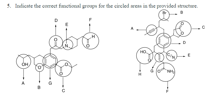 Solved Indicate the correct functional groups for the | Chegg.com