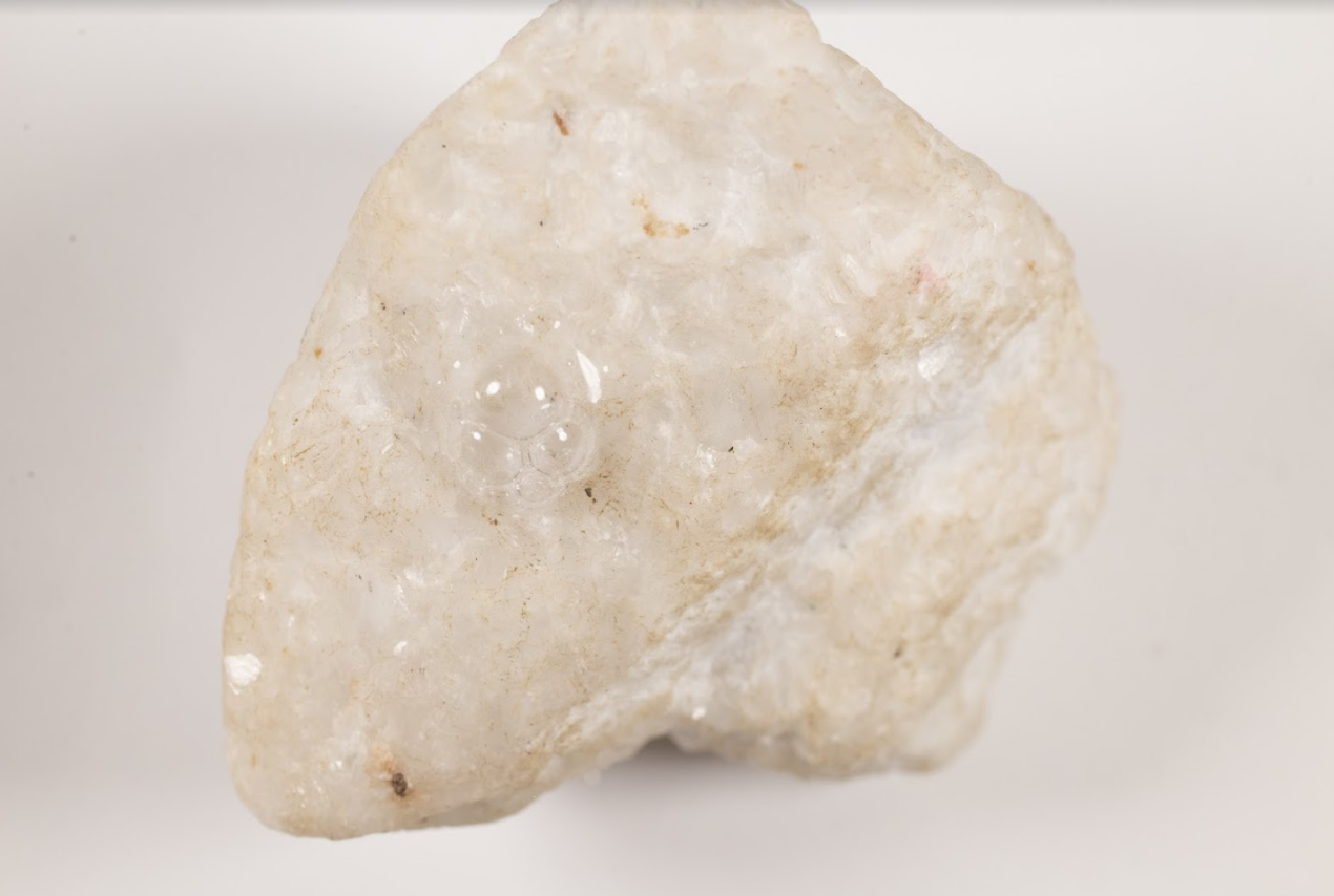 Solved Examine the metamorphic rock specimens in the rock | Chegg.com