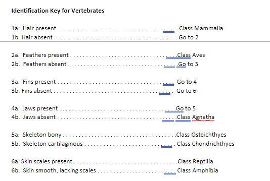 Solved Using the dichotomous key provided, identify the | Chegg.com