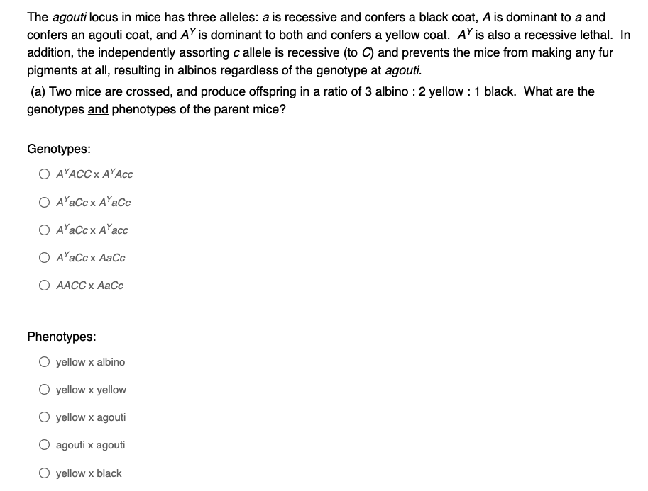 Solved The agouti locus in mice has three alleles: a is | Chegg.com