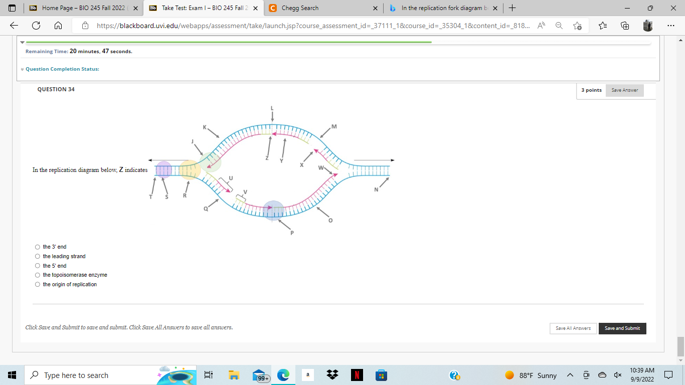 Solved QUESTION 34 In the replication diagram below, Z | Chegg.com