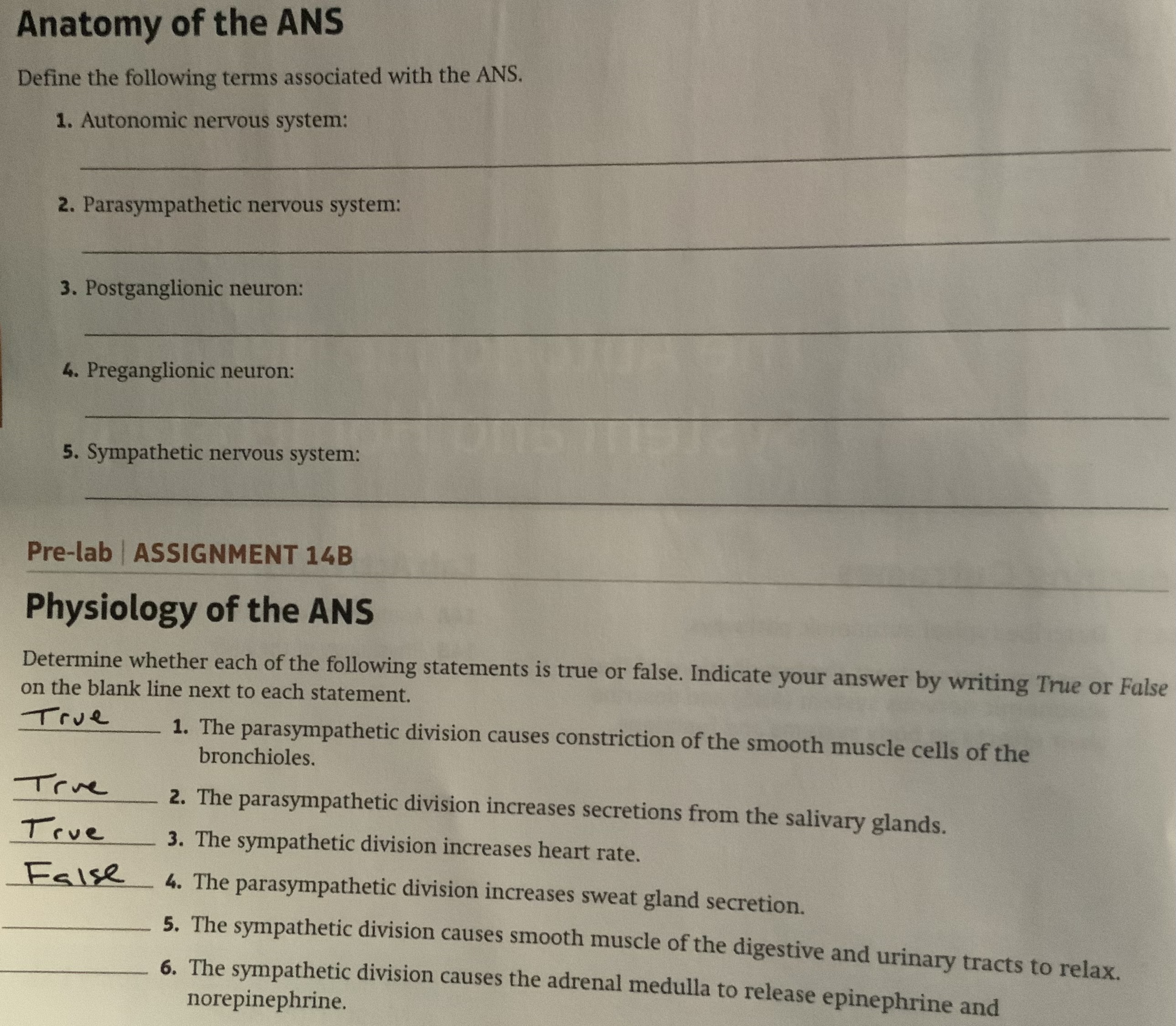 Solved Anatomy of the ANS Define the following terms | Chegg.com