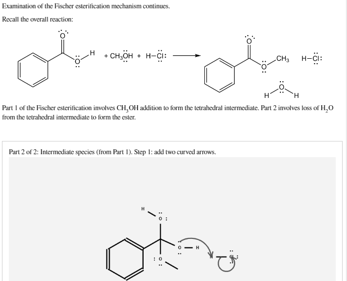 Solved Examination of the Fischer esterification mechanism | Chegg.com