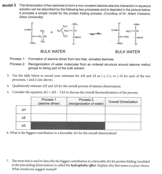 Solved Model 2 The dimerization of two alanines to form a | Chegg.com