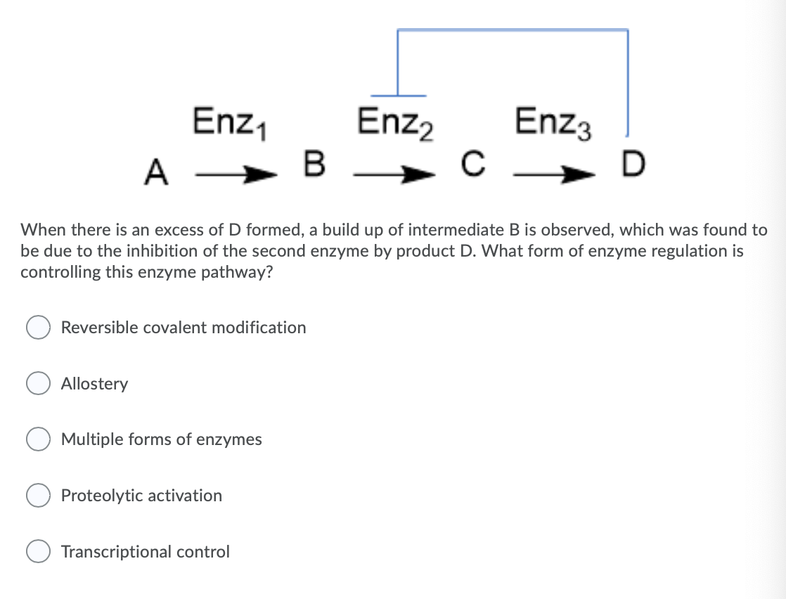 Solved Enzi Enz2 Enzz A B с D When there is an excess of D | Chegg.com