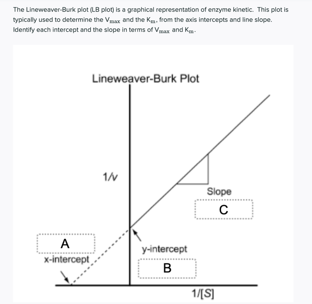 Solved The Lineweaver-Burk plot (LB plot) is a graphical | Chegg.com