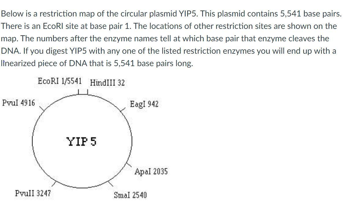 Solved Below is a restriction map of the circular plasmid | Chegg.com