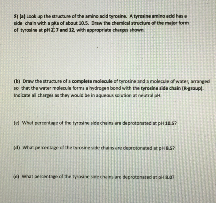 Solved 5) (a) Look up the structure of the amino acid | Chegg.com