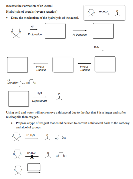 Solved Draw the mechanism of the hydrolysis of the | Chegg.com