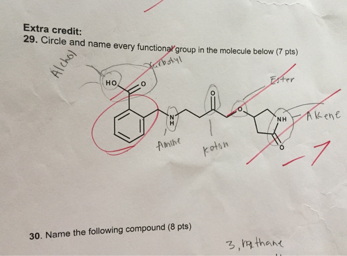 Solved Circle and name every functional group in the | Chegg.com
