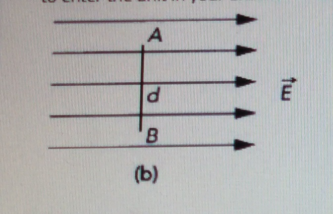 Solved In the drawing below, E-4.0N/C and d = 1.5m. | Chegg.com
