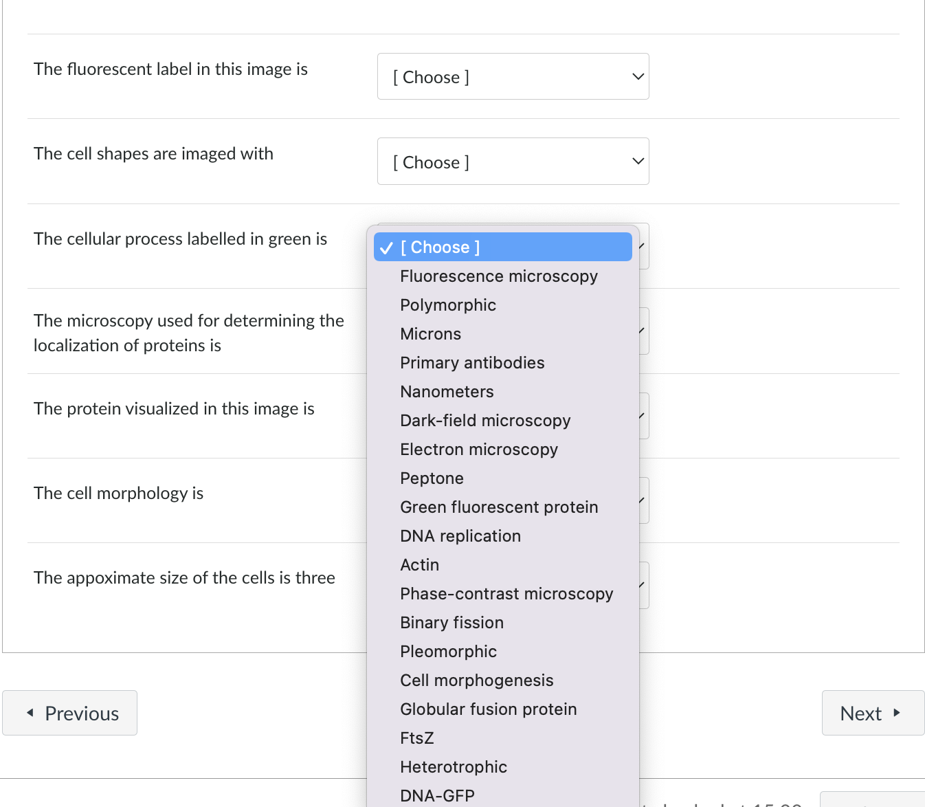 Solved The fluorescent label in this image is The cell | Chegg.com