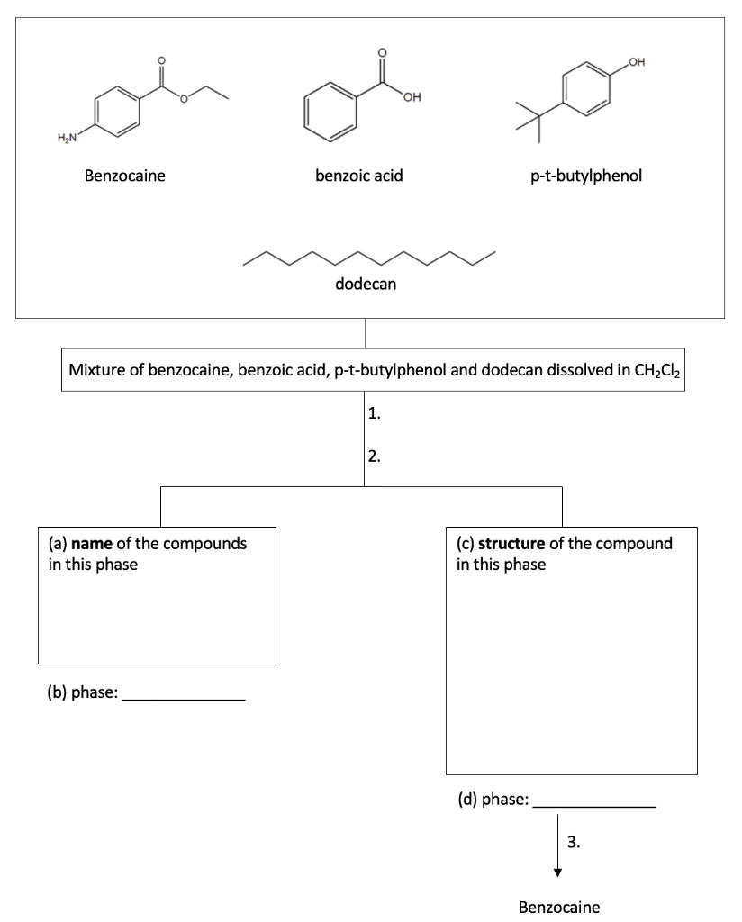 Solved Complete the following scheme for a chemically | Chegg.com
