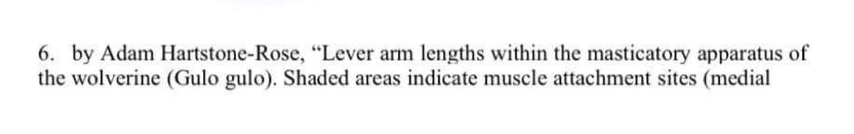 Solved 6. by Adam Hartstone-Rose, "Lever arm lengths within | Chegg.com