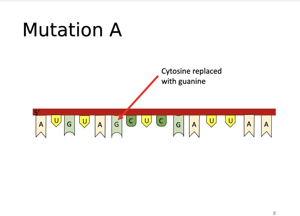 Solved 2. Simulation - Substitution mutation: for each of | Chegg.com