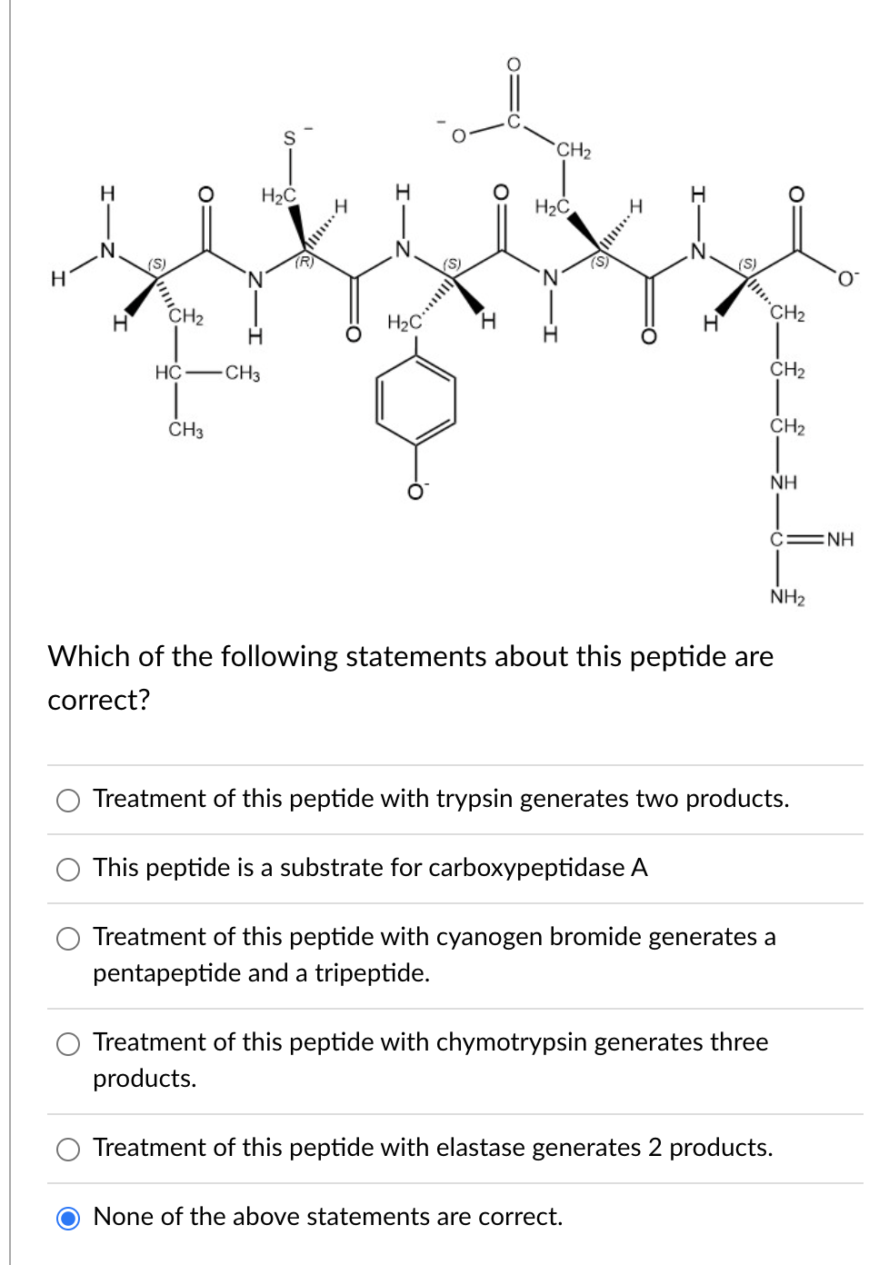 Solved Which of the following statements about this peptide | Chegg.com