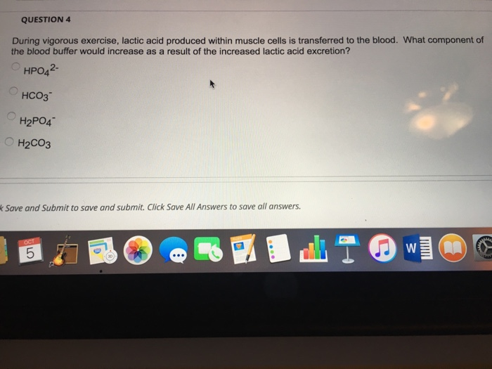 Solved QUESTION 4 During vigorous exercise, lactic acid | Chegg.com