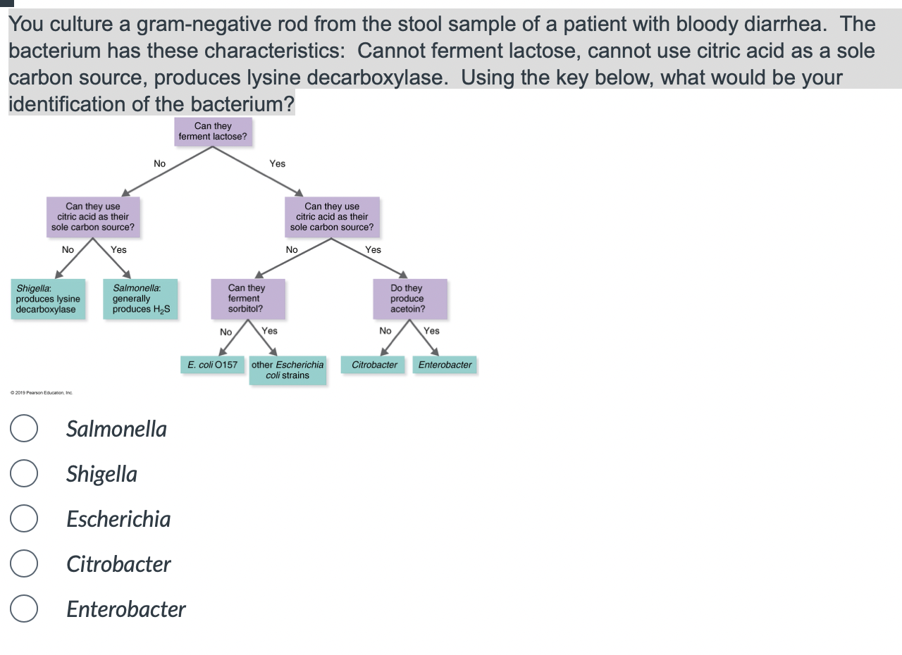 Solved You culture a gram-negative rod from the stool sample | Chegg.com