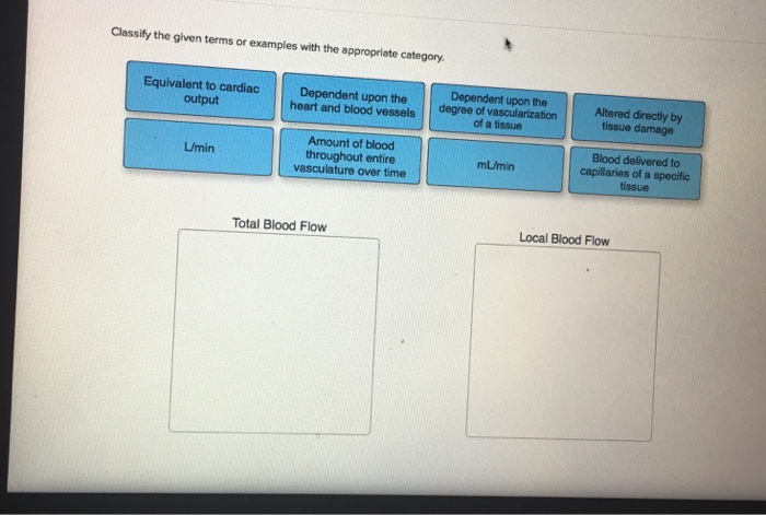 Solved Classify the given terms or examples with the | Chegg.com