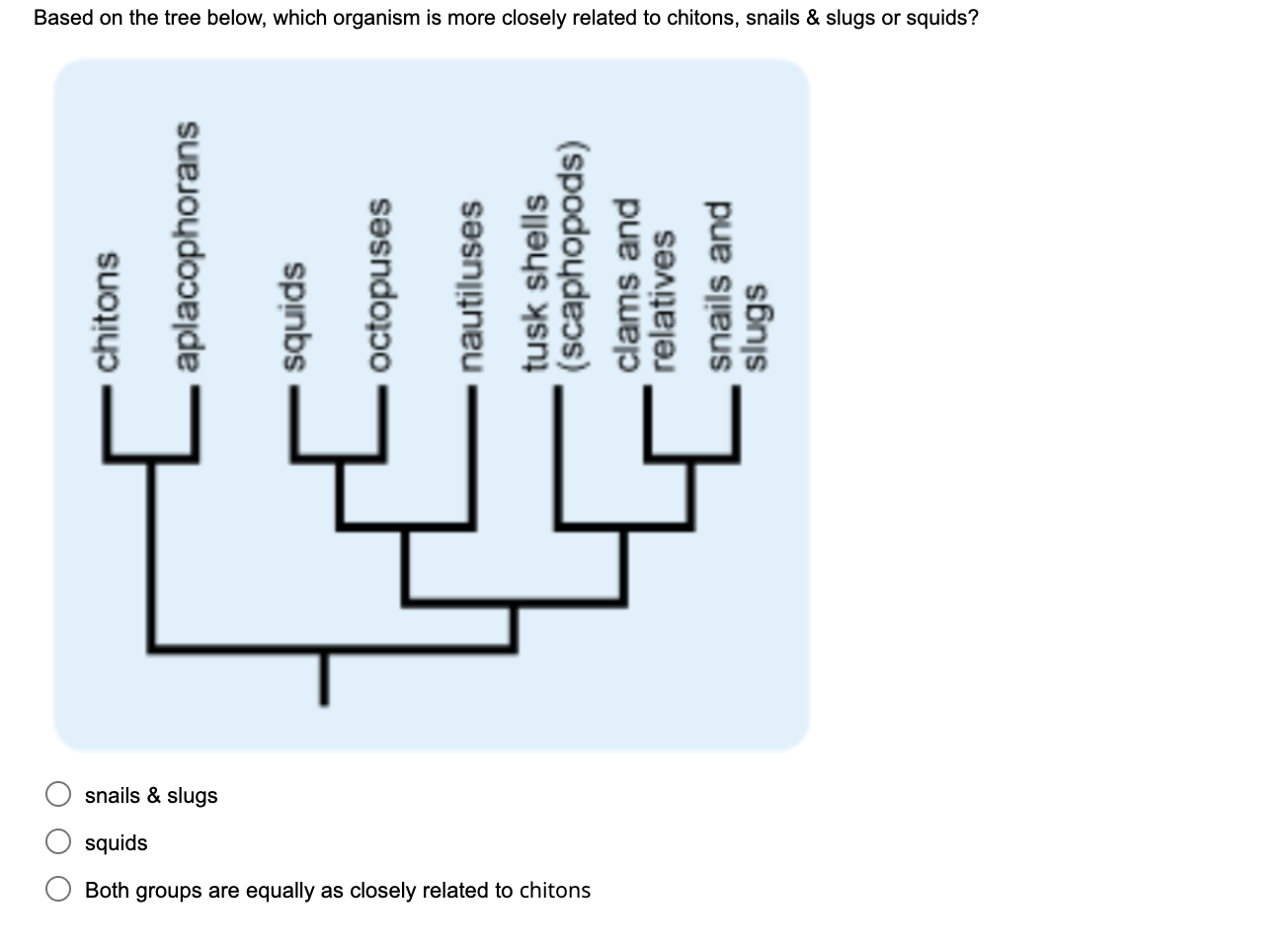 Solved Which of the following is the correct order for | Chegg.com