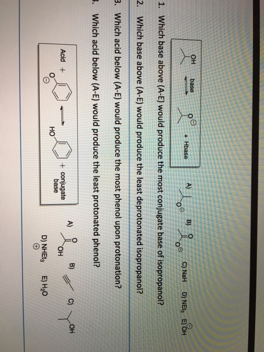 Solved OH base + Hbase 1. Which base above (A-E) would | Chegg.com
