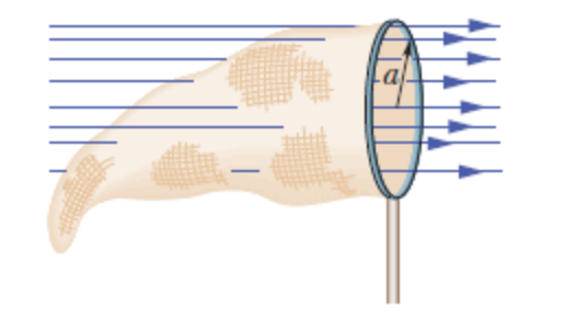 Solved In the figure below, a butterfly net is in a uniform | Chegg.com