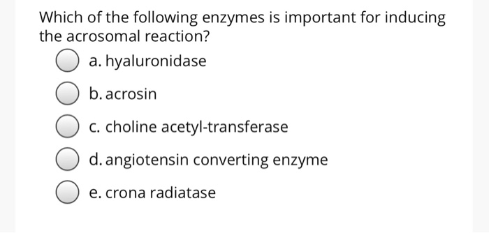 Solved Which of the following enzymes is important for | Chegg.com