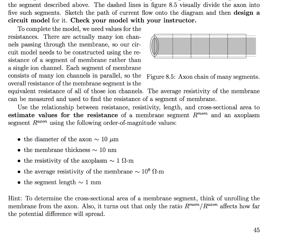 Solved the segment described above. The dashed lines in | Chegg.com