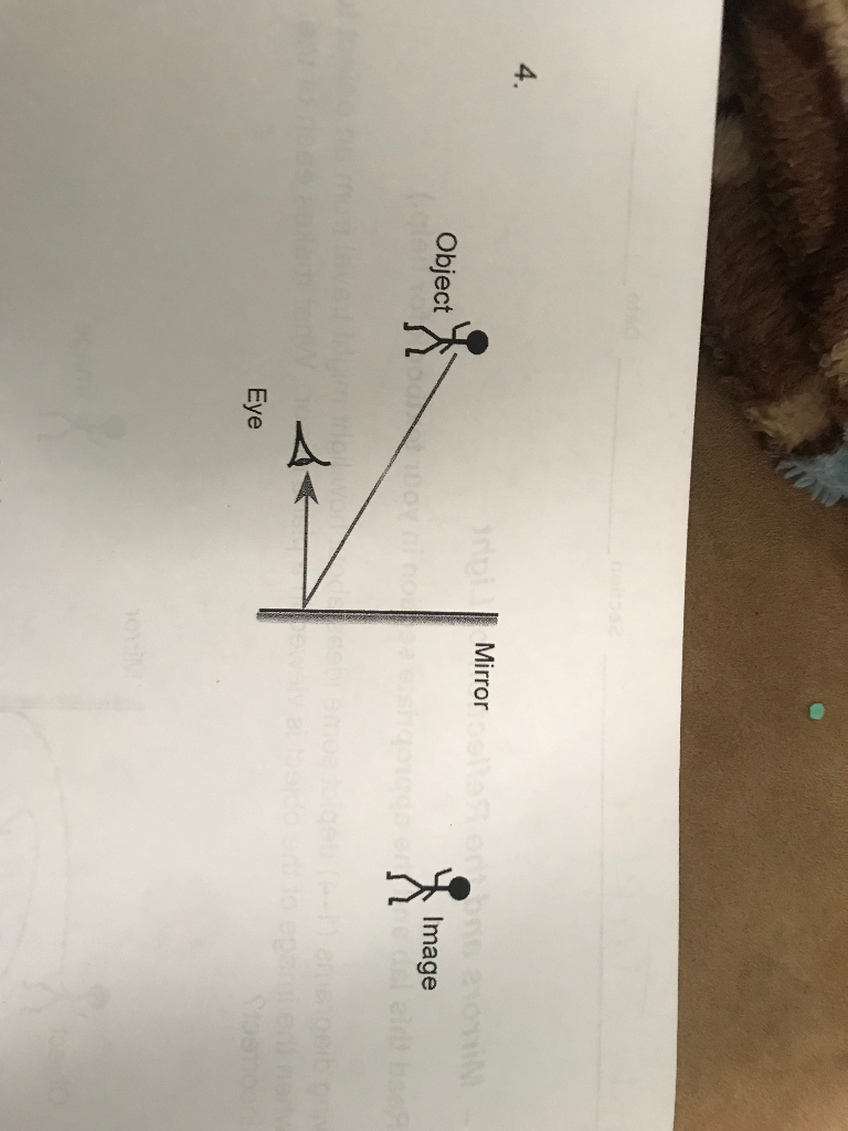 Solved The following diagrams depict some ideas about how | Chegg.com