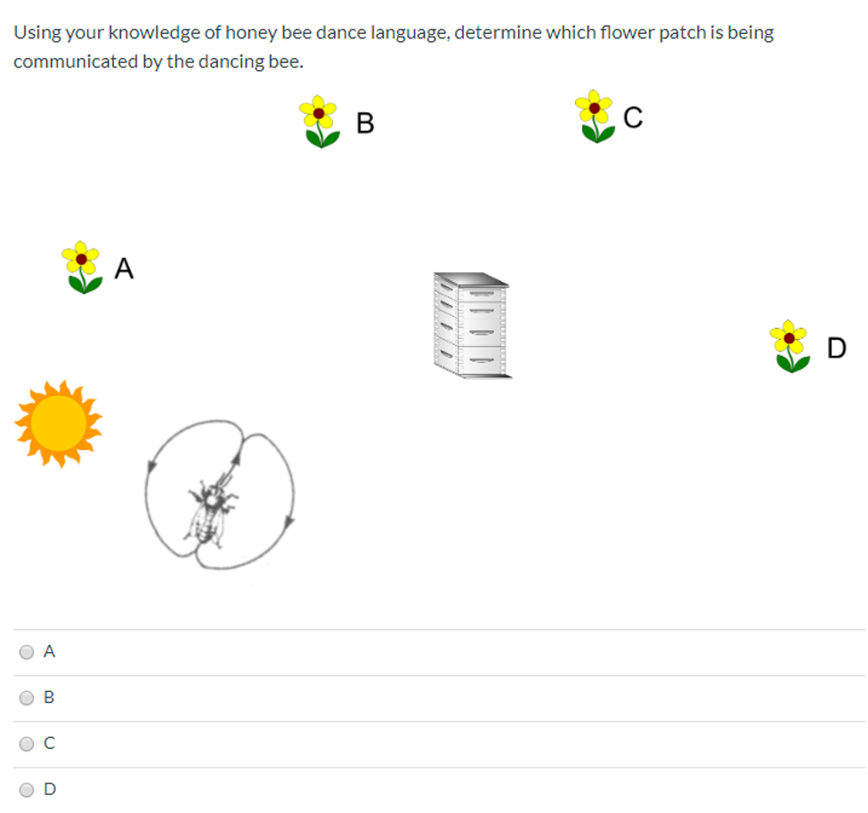 Solved Using your knowledge of honey bee dance language, | Chegg.com